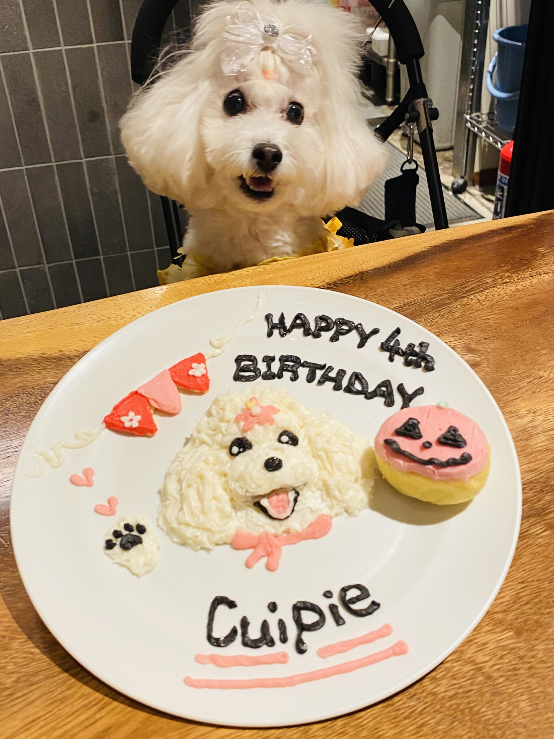 中央区八丁堀 】IMPREST CAFE｜愛犬の似顔絵ケーキがオススメのドッグカフェ