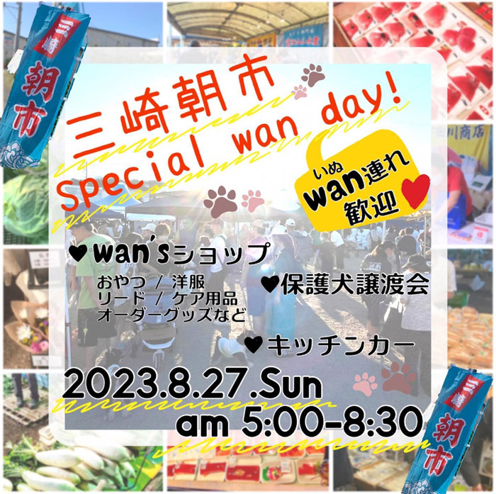 三崎朝市 Special wan day! 2023年8月27日（日）｜三崎朝市協同組合（神奈川県三浦市）