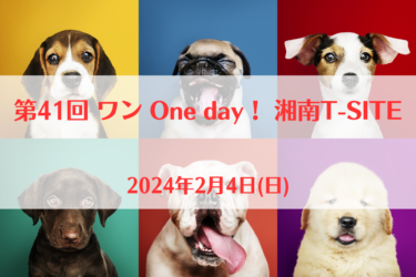第41回 ワン One day！ 湘南T-SITE（2024年2月4日(日)）｜湘南 T-SITE（神奈川県藤沢市）│ワンだふるライフ